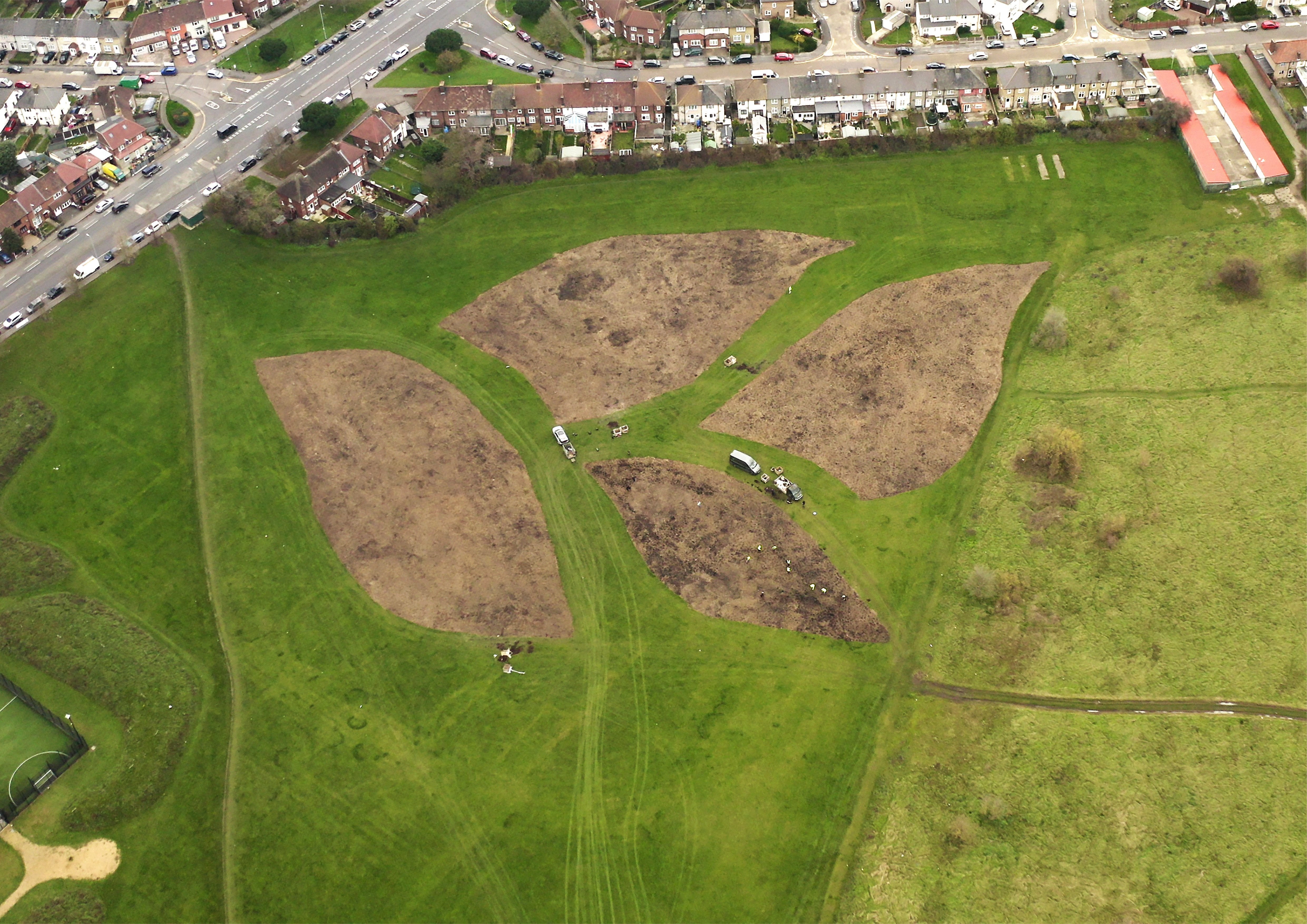 Investing in Nature and Restoring Biodiversity with SUGi Forest Makers | TOAST Magazine