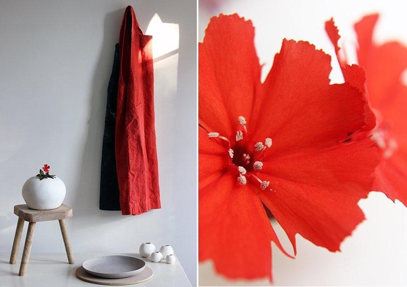 A FLOWER FOR A COUNTY - THE MALTESE FLOWER | TOAST Magazine