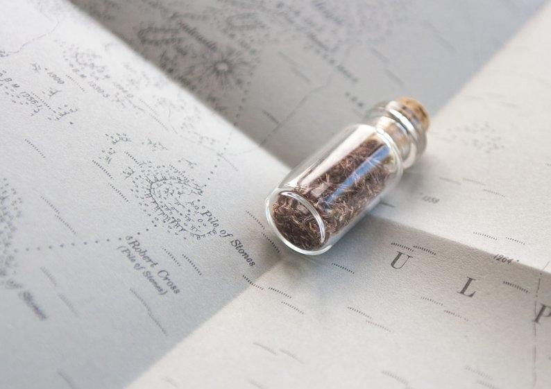 Artists Richard Skelton & Autumn Richardson | TOAST Magazine