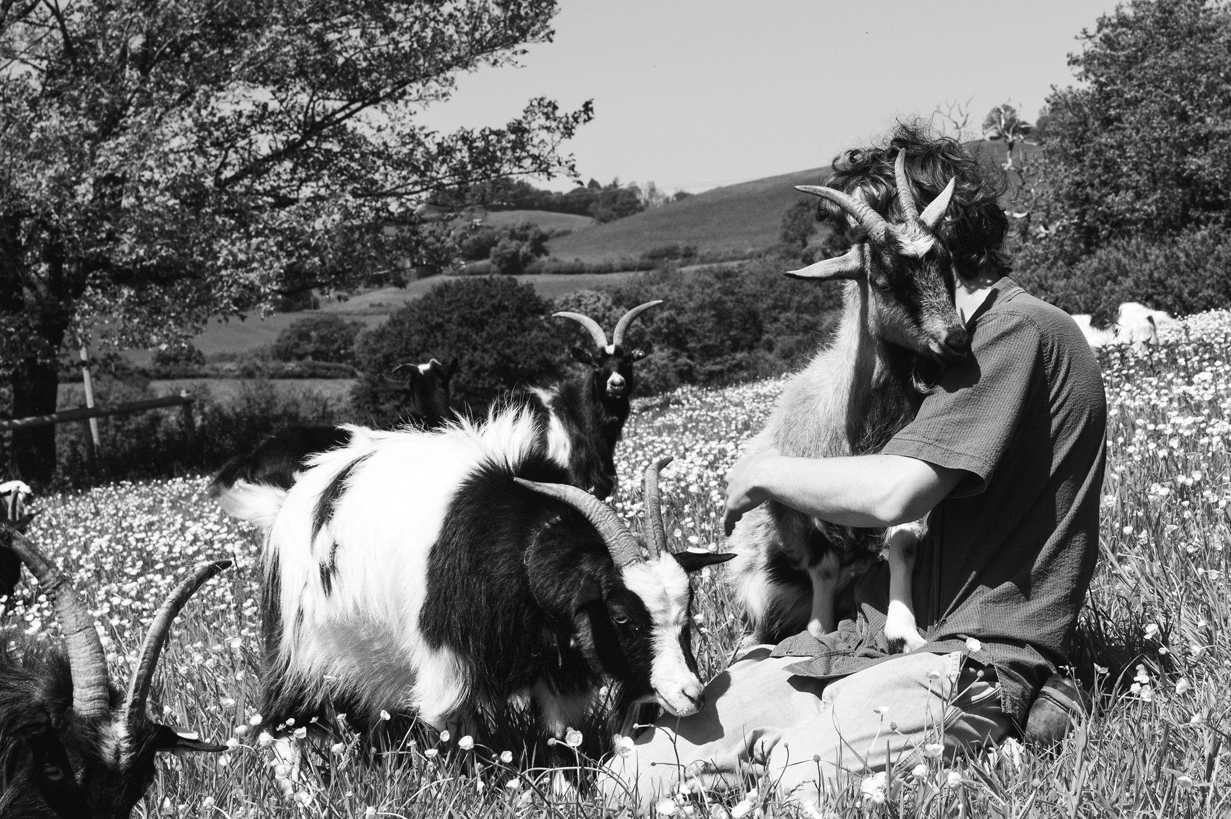 Living Seasonally with Julius Roberts | TOAST Magazine