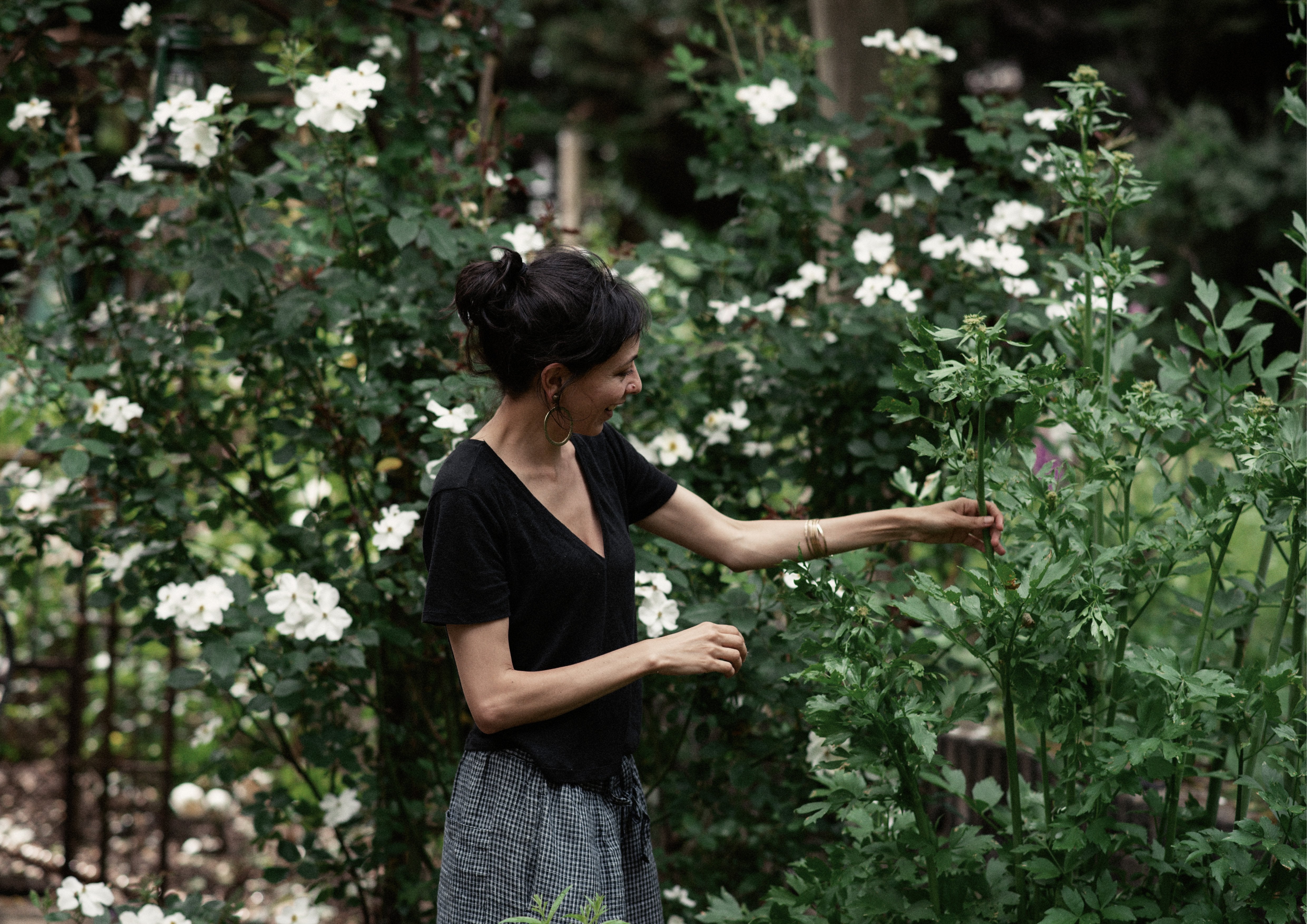 Rewilding the Kitchen with Maya Thomas | Time to Make | TOAST Magazine