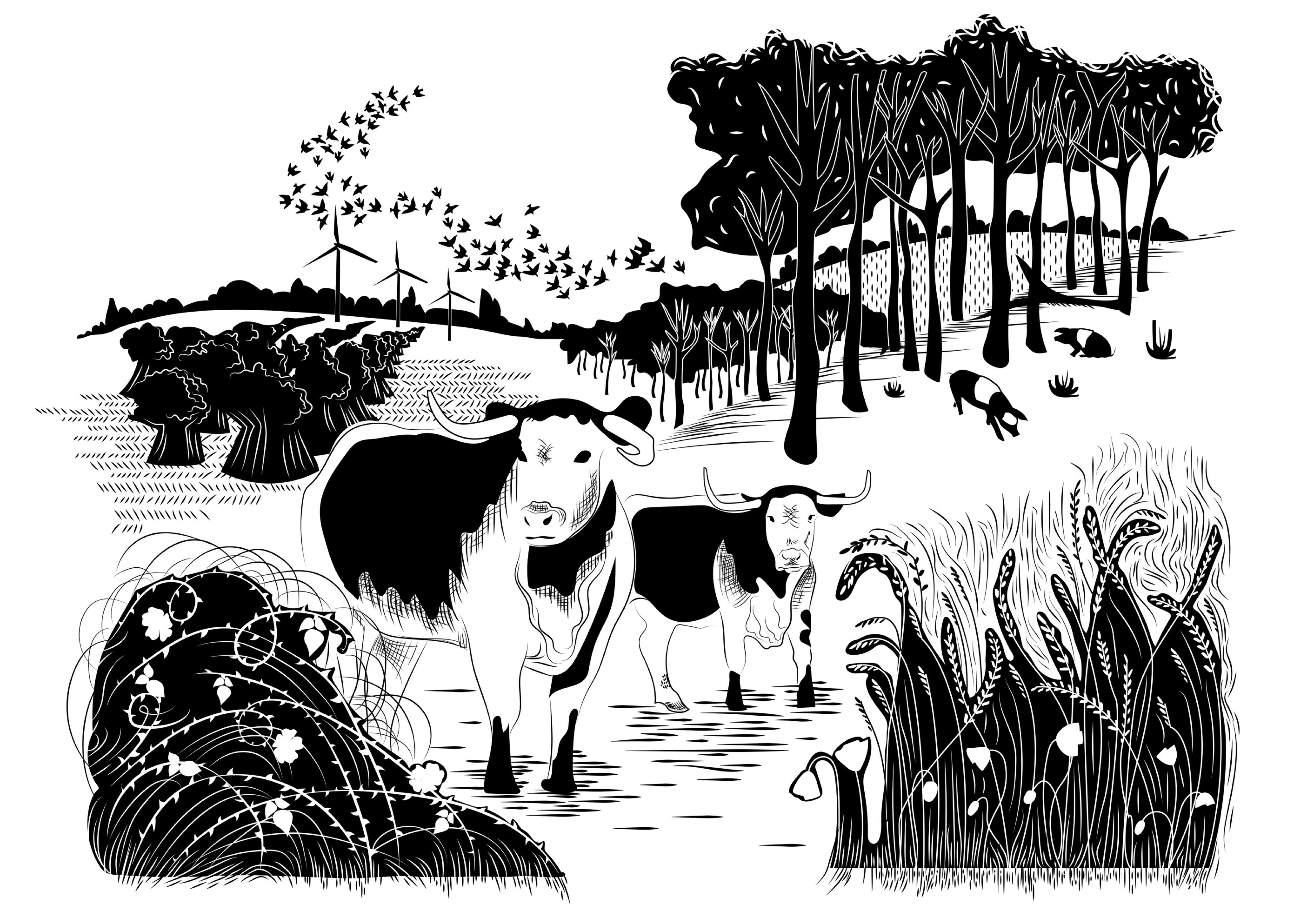 Modern Life from Wilder Land | A Manifesto by Sebastian Cox | TOAST ...