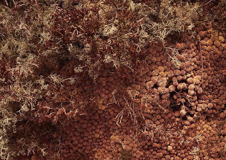 THE STORY OF COLOUR - UMBER | TOAST Magazine