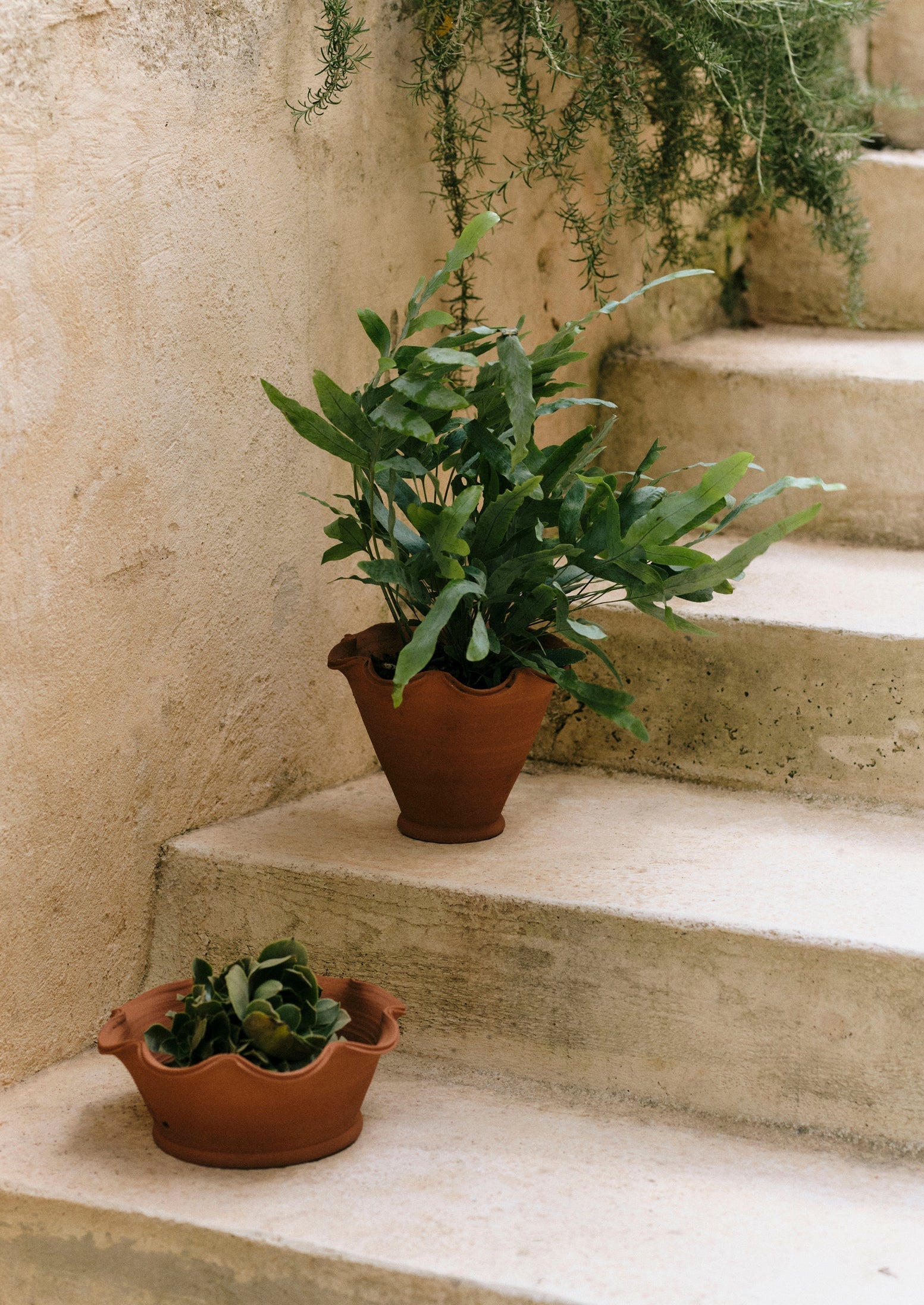 Willow Pottery Terracotta Planter | Terracotta | TOAST