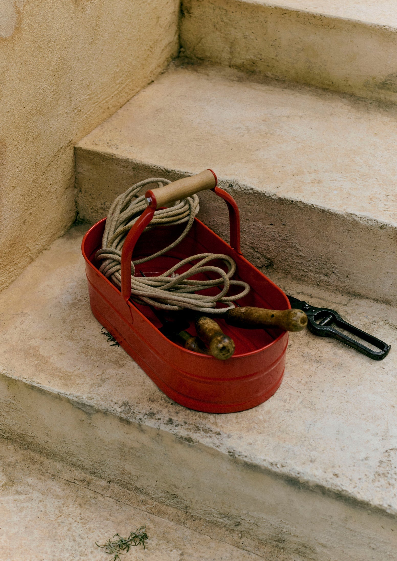 Garden Utility Bucket | Nasturtium | TOAST